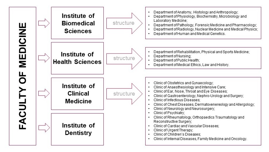 Structure - Faculty of Medicine